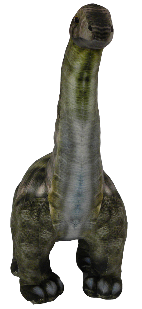 Brontosaurus Plush – The Science Museum of Minnesota