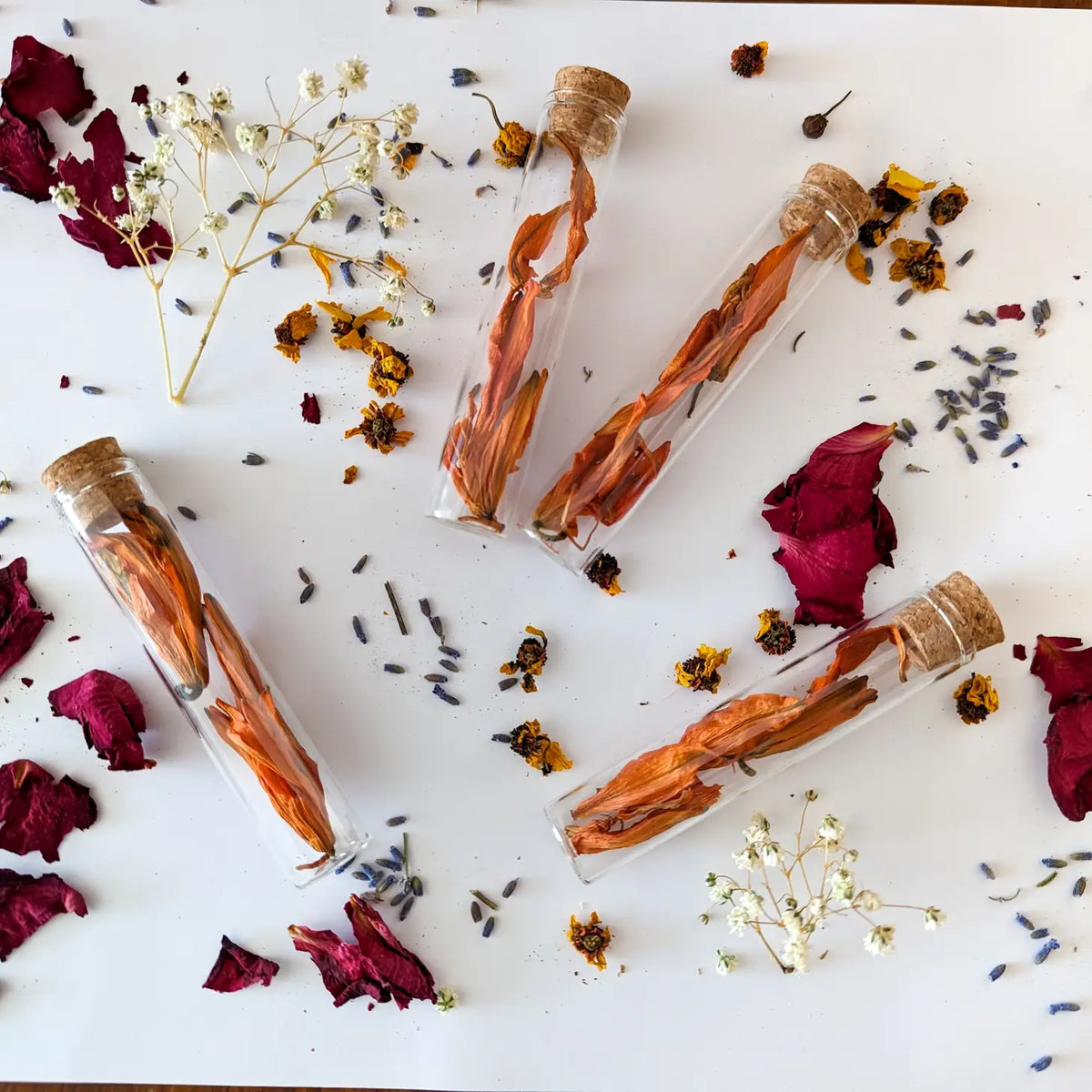 Dried Flower Vials – The Science Museum of Minnesota