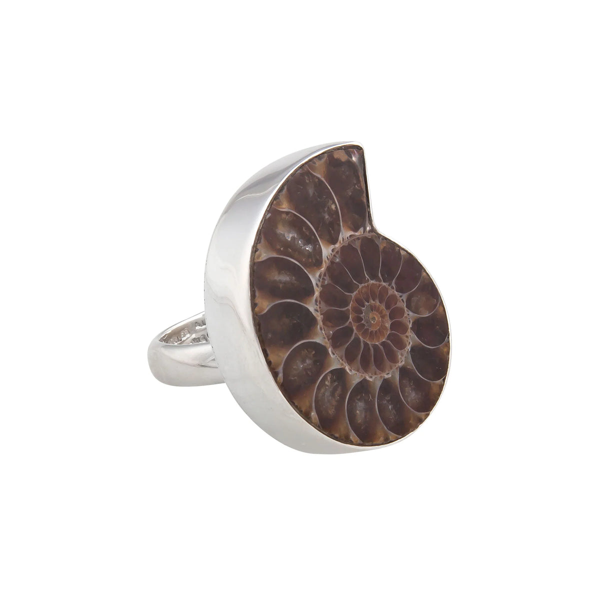 Ammonite Ring $90.00 – The Science Museum of Minnesota