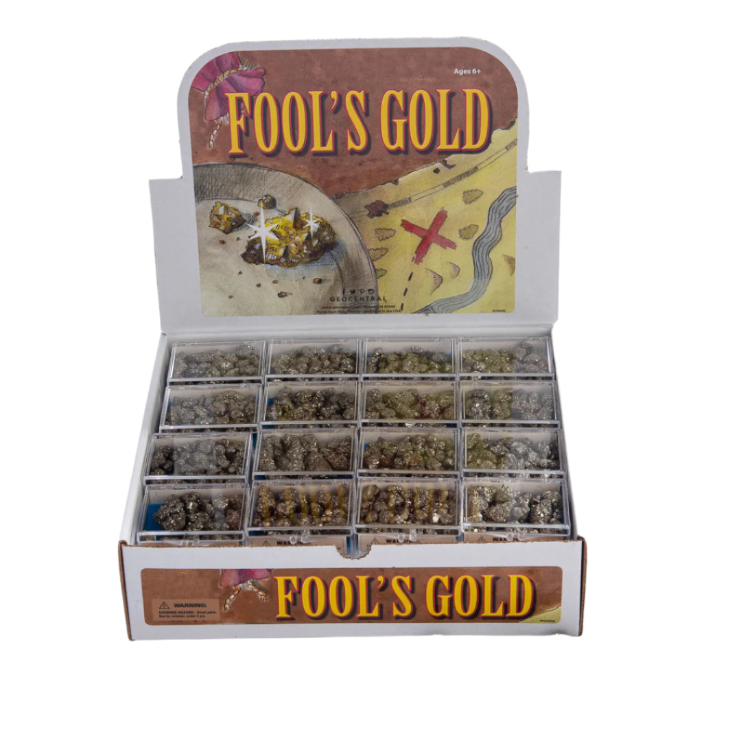 Science Museum of Minnesota Fool's Gold Box – The Science Museum of ...