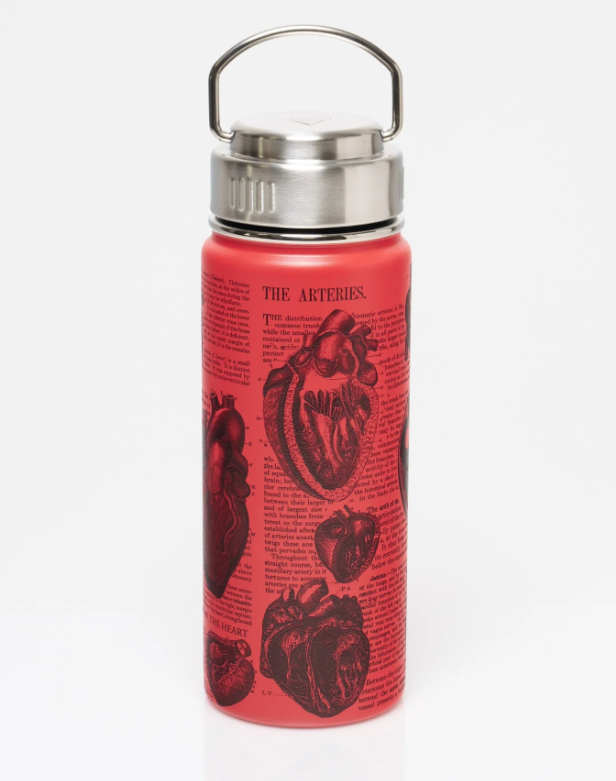 Anatomical Heart Thermos – The Science Museum of Minnesota
