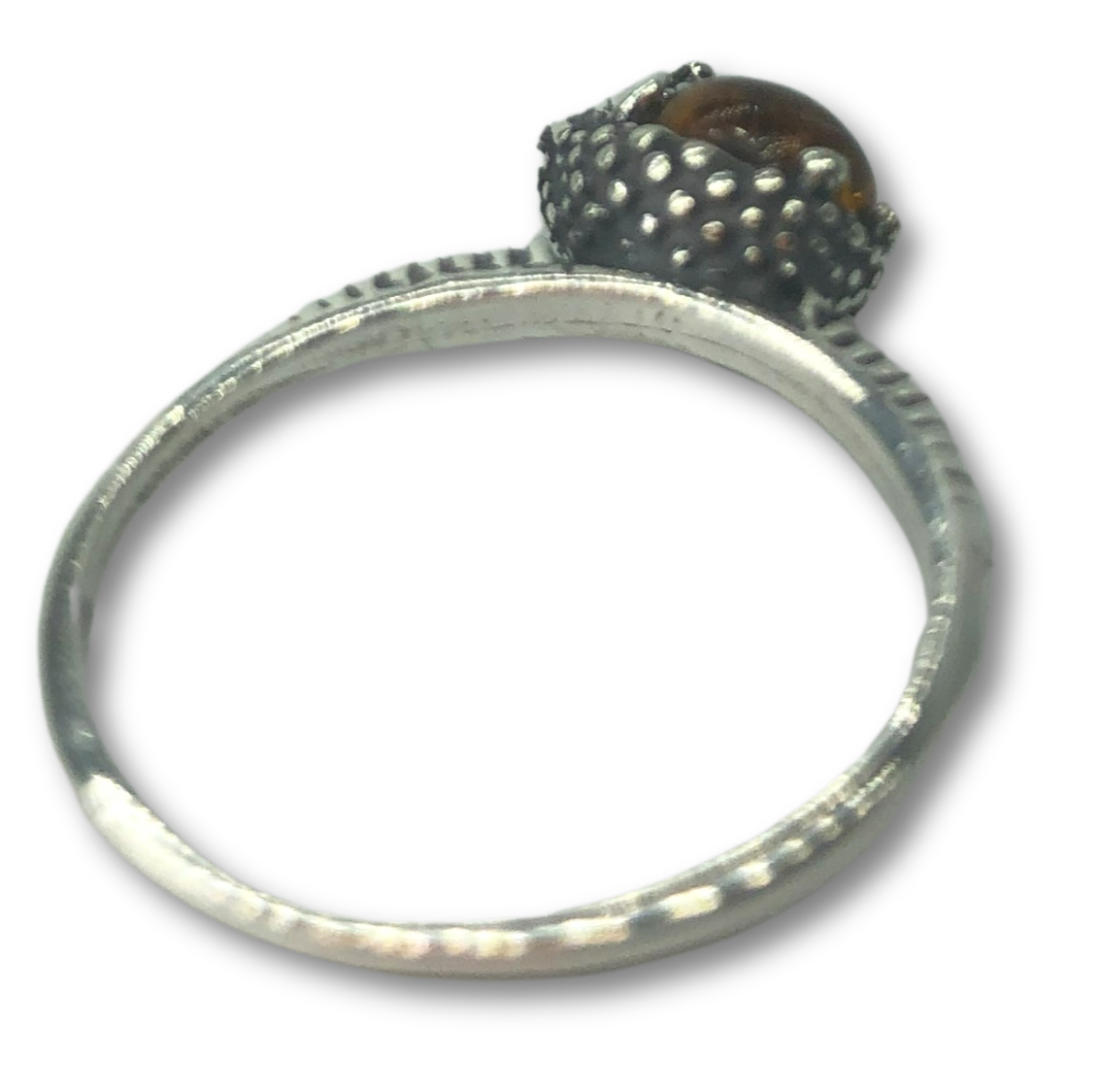 Amber Hedgehog Ring – The Science Museum of Minnesota