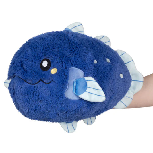 Mini Squishable Coelacanth – The Science Museum of Minnesota