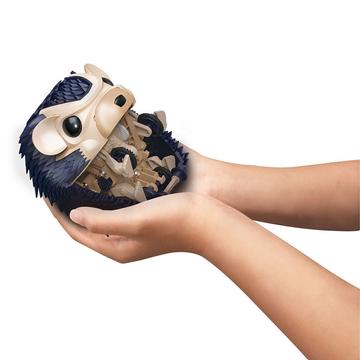 My Robotic Pet Hedgehog – The Science Museum of Minnesota