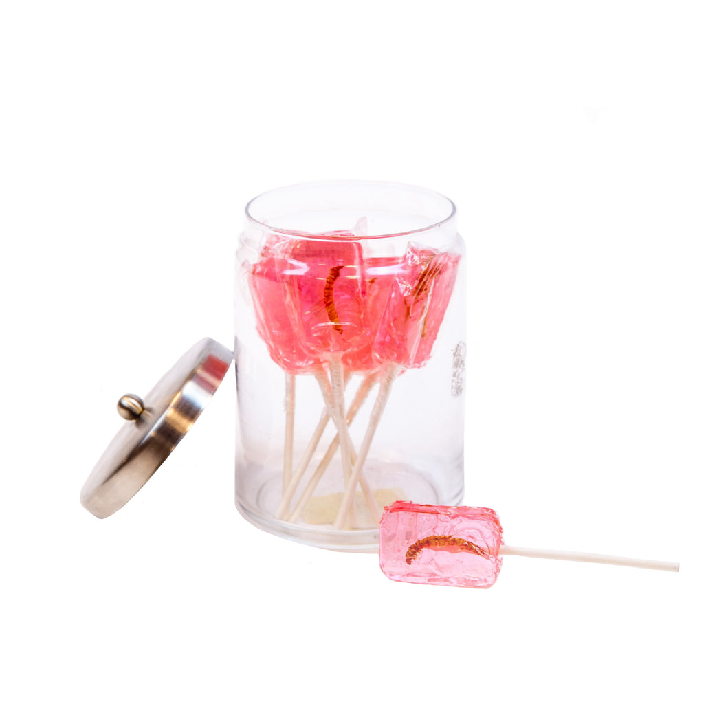 Bug/Insect Sucker – The Science Museum of Minnesota