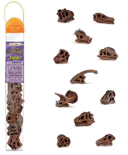 Dinosaur Skulls Toob – The Science Museum of Minnesota