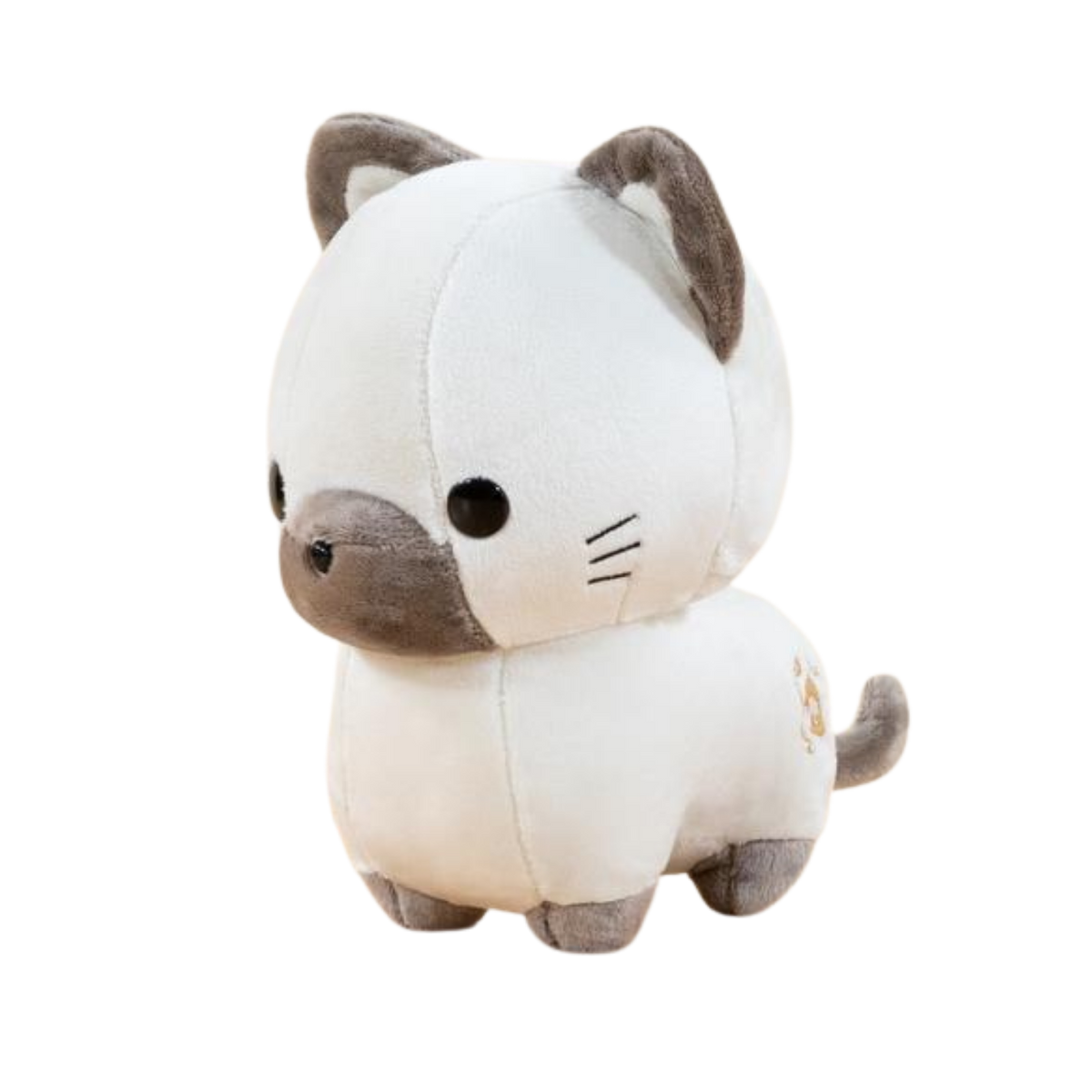 Sami the Siamese Cat – The Science Museum of Minnesota