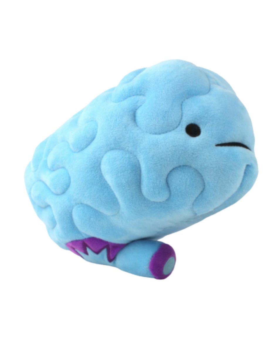 Brain Plush – The Science Museum of Minnesota