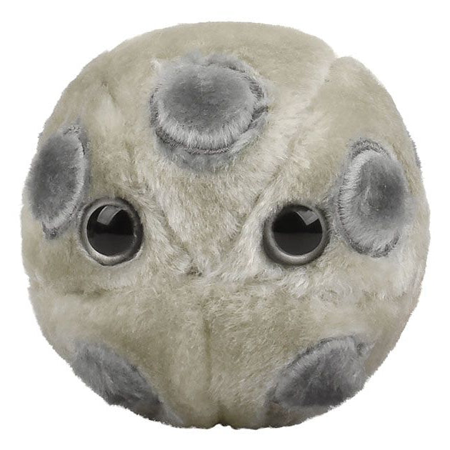 HPV Virus Plush – The Science Museum of Minnesota